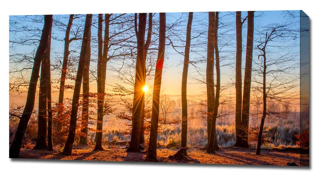 Panoramic canvas store