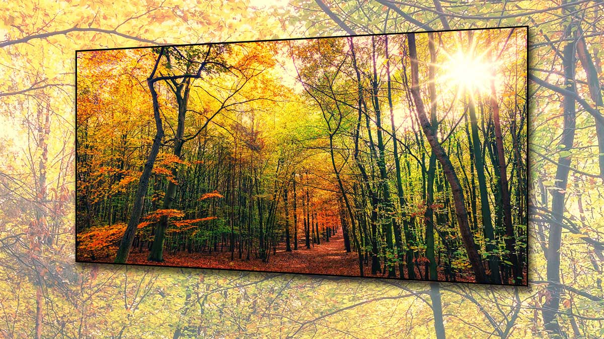 Panoramic prints, create eye-catching décor from your photos